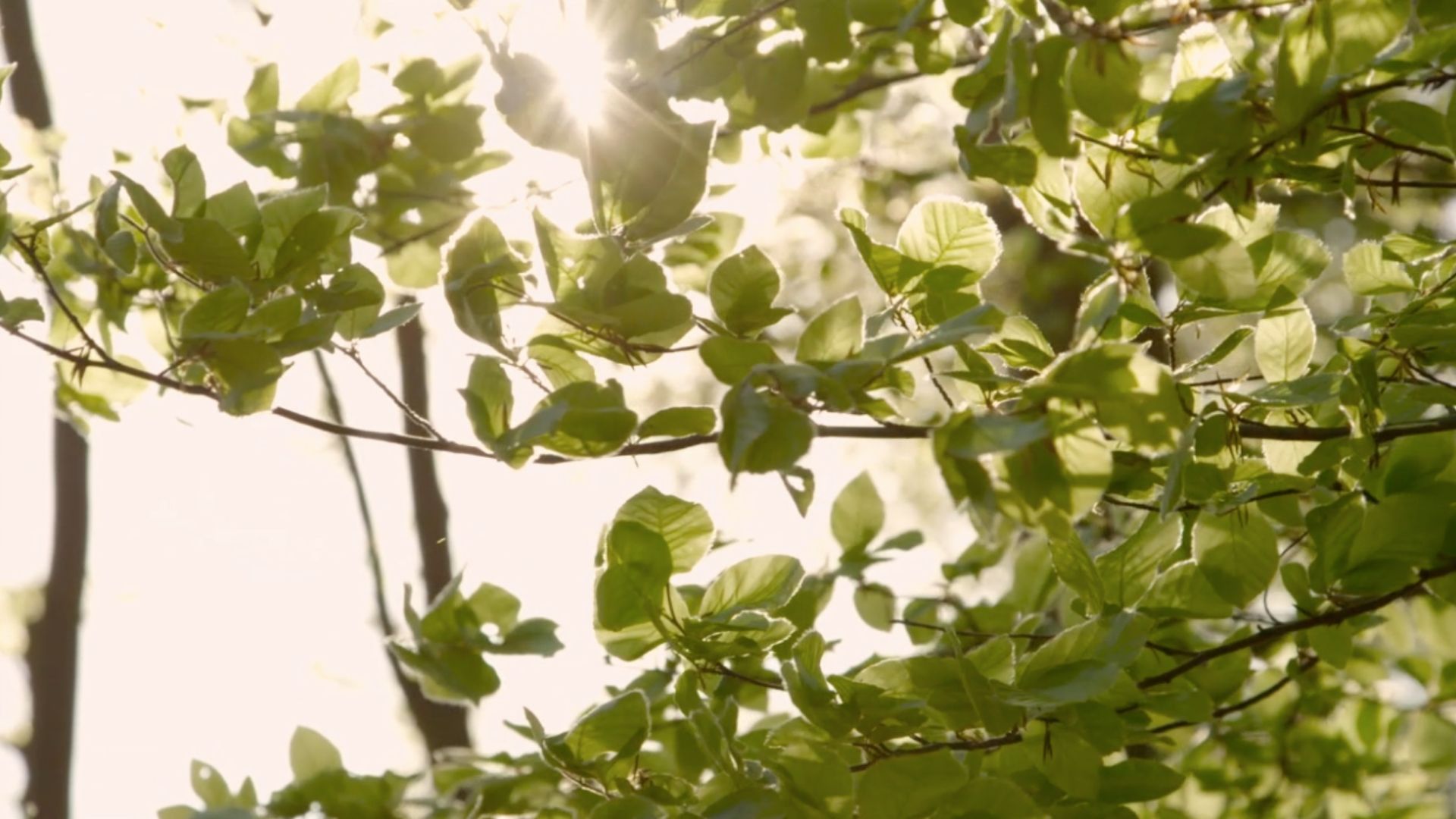 Sending Messages Upon the Sacred Wind